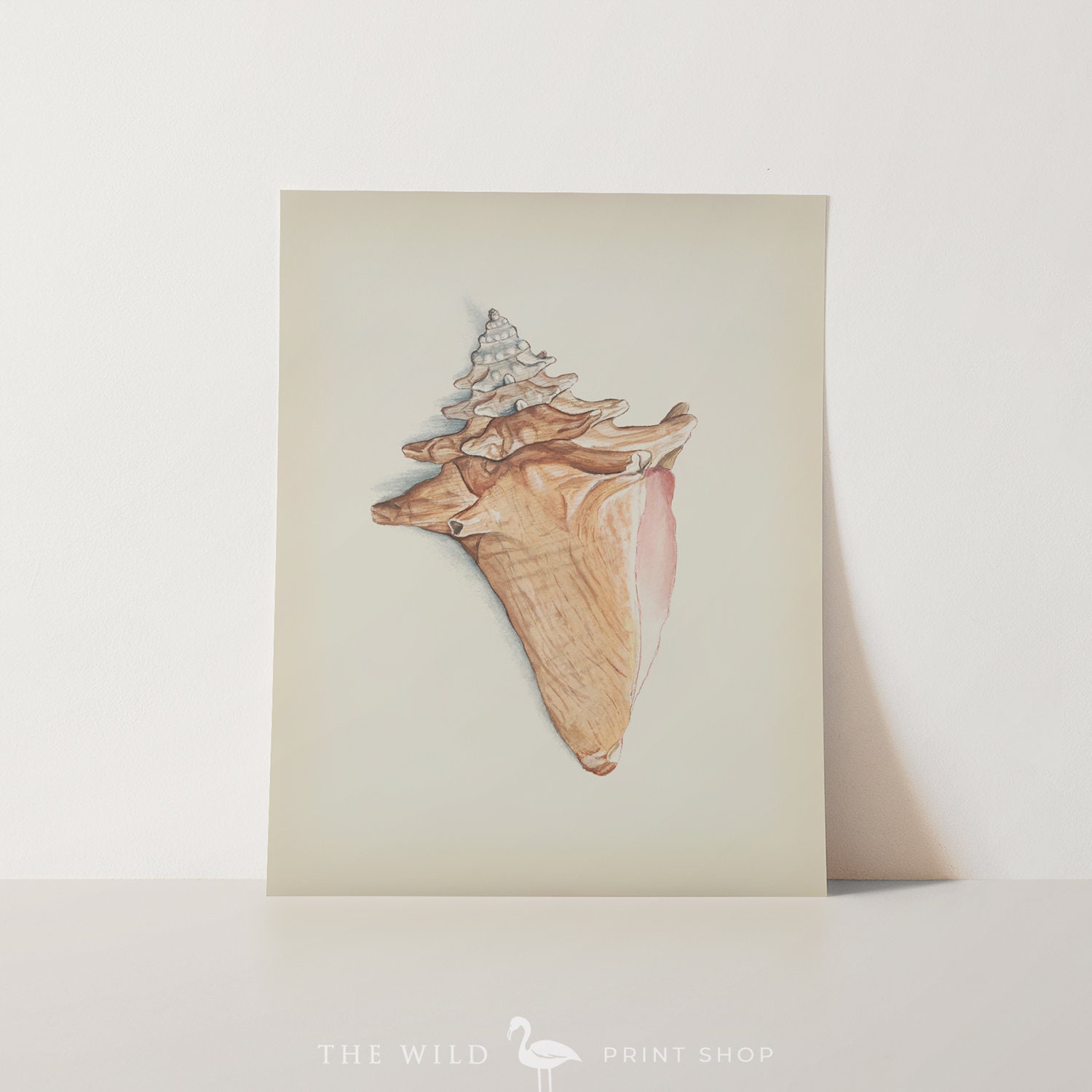 Seashell Print Vintage Seashell Print Seashell Wall Art | Etsy