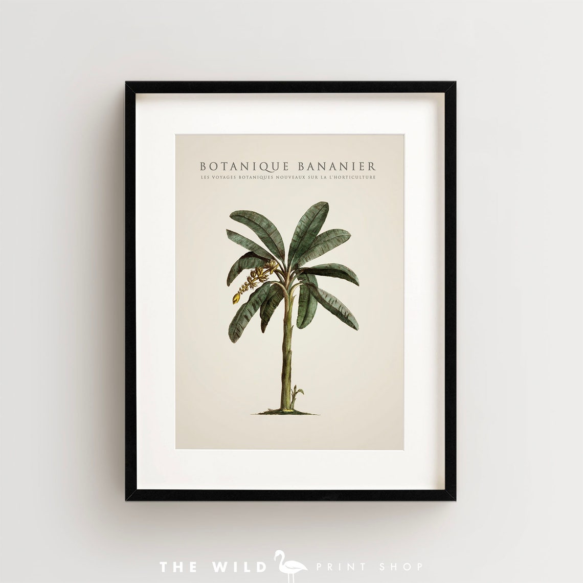 Banana Tree Print, Banana Tree Art Print, Vintage Botanical Print ...