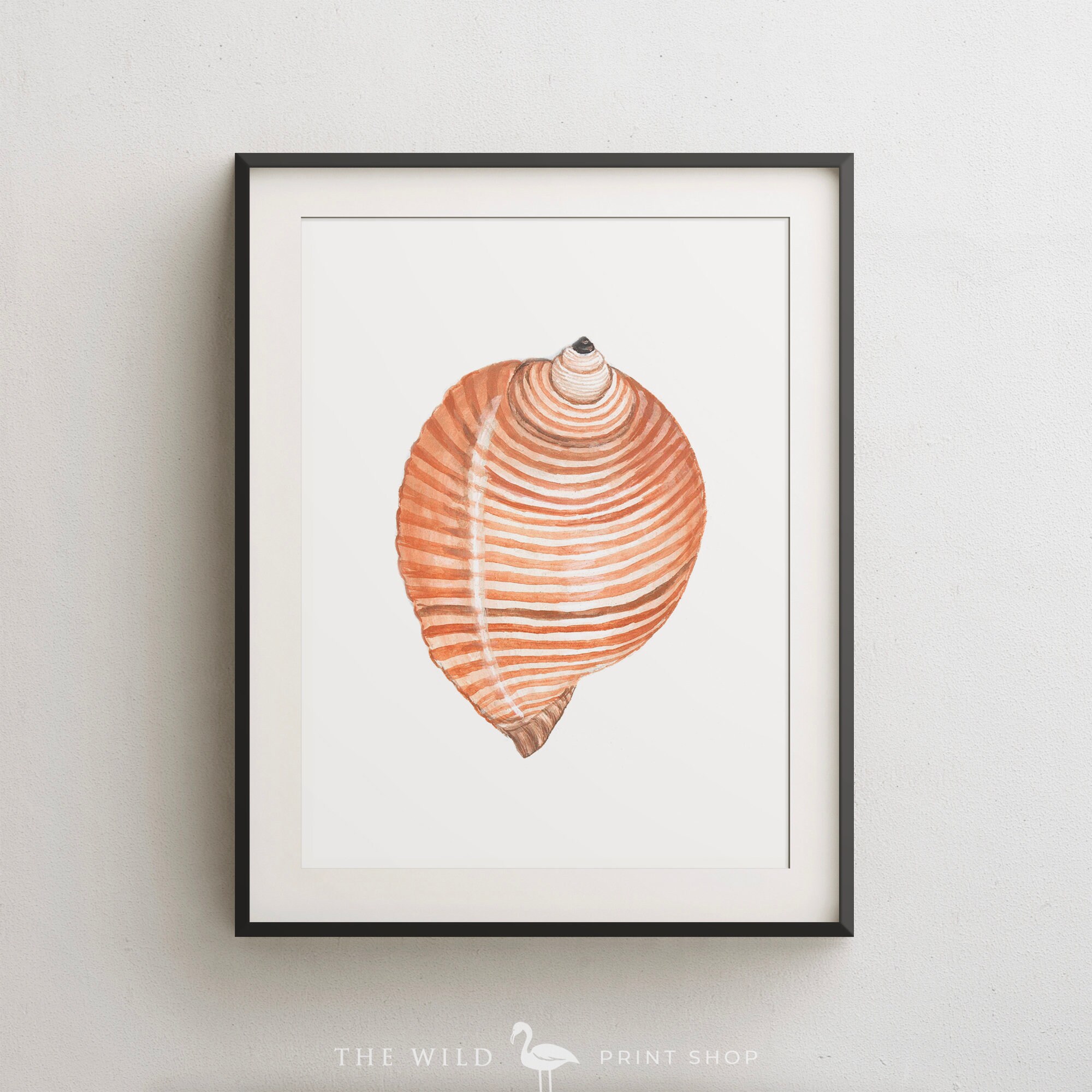 Seashell Print Vintage Seashell Print Seashell Wall Art | Etsy