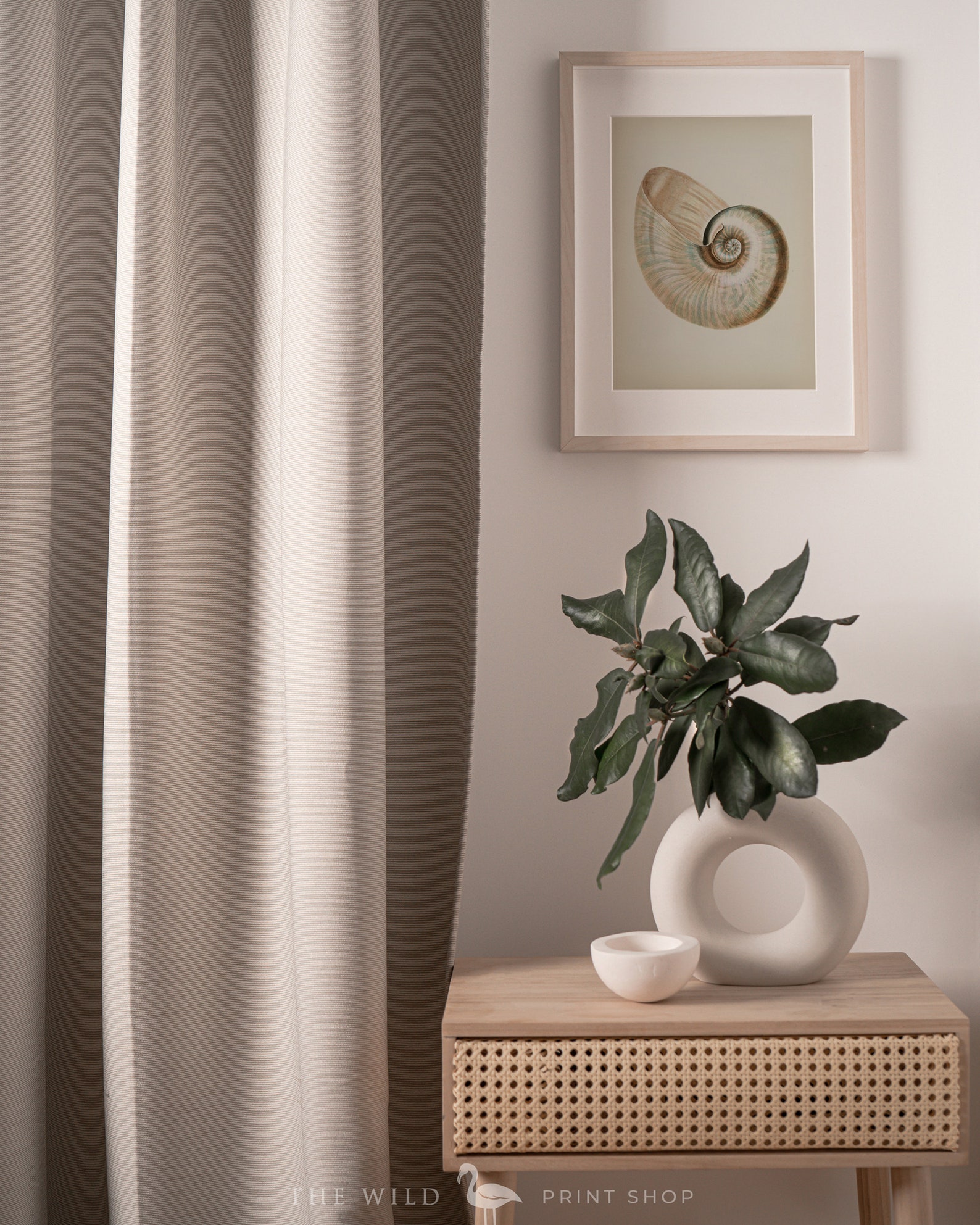 Nautilus Shell Print Seashell Print Vintage Seashell Print - Etsy