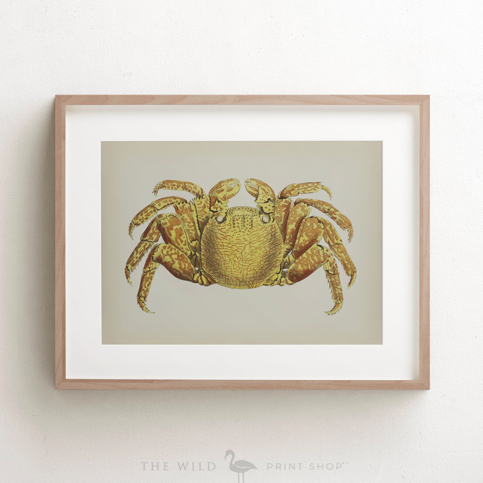 Crab Print Vintage Crab Print Crab Wall Art Nautical Print - Etsy