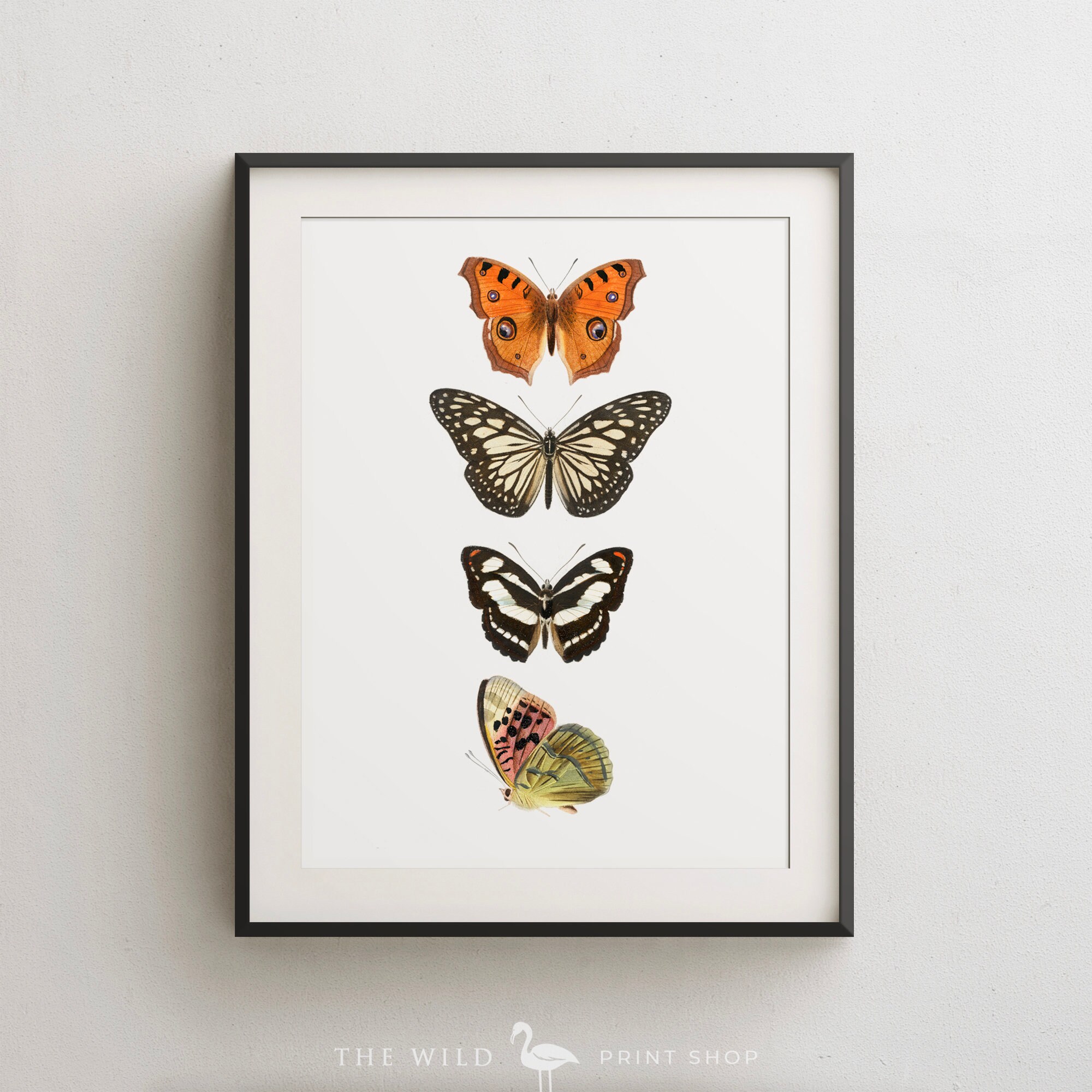 Vintage Butterfly Print Butterfly Art Print Butterfly Wall | Etsy