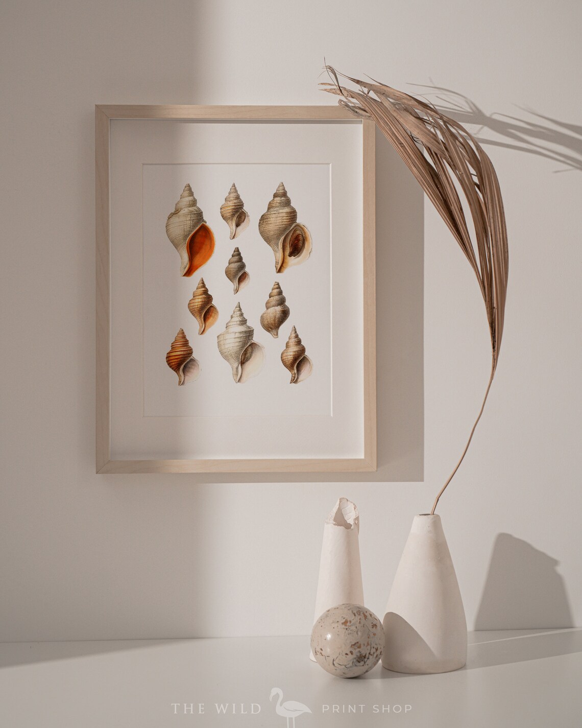 Seashell Print Vintage Seashell Print Seashell Wall Art - Etsy