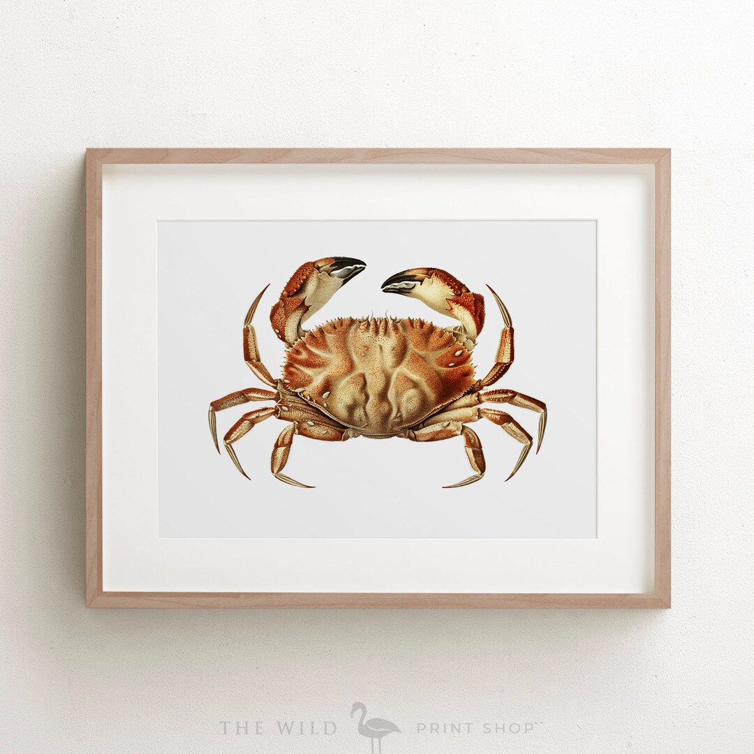 Crab Print Vintage Crab Print Crab Wall Art Nautical Print - Etsy