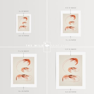 Shrimp Print, Vintage Shrimp Print, Shrimp Wall Art, Nautical Print ...