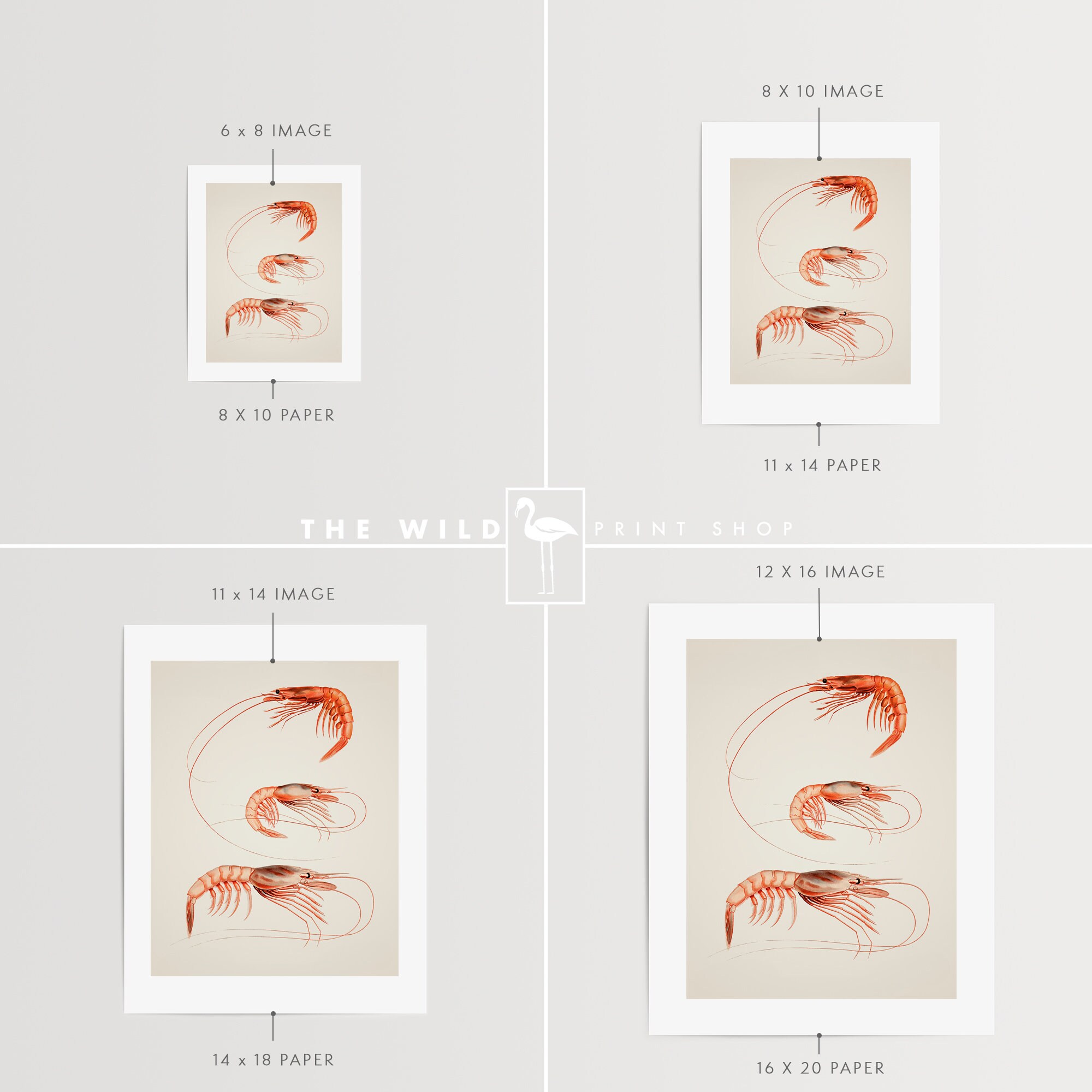 Shrimp Print, Vintage Shrimp Print, Shrimp Wall Art, Nautical Print ...