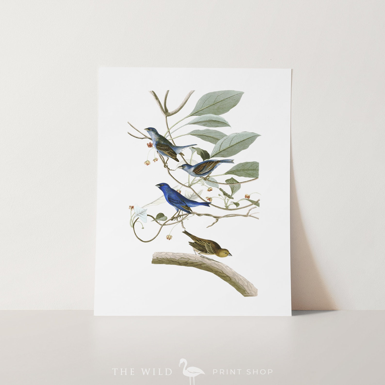 Vintage Bird Print Indigo Bird Print Bird Wall Art Audubon - Etsy