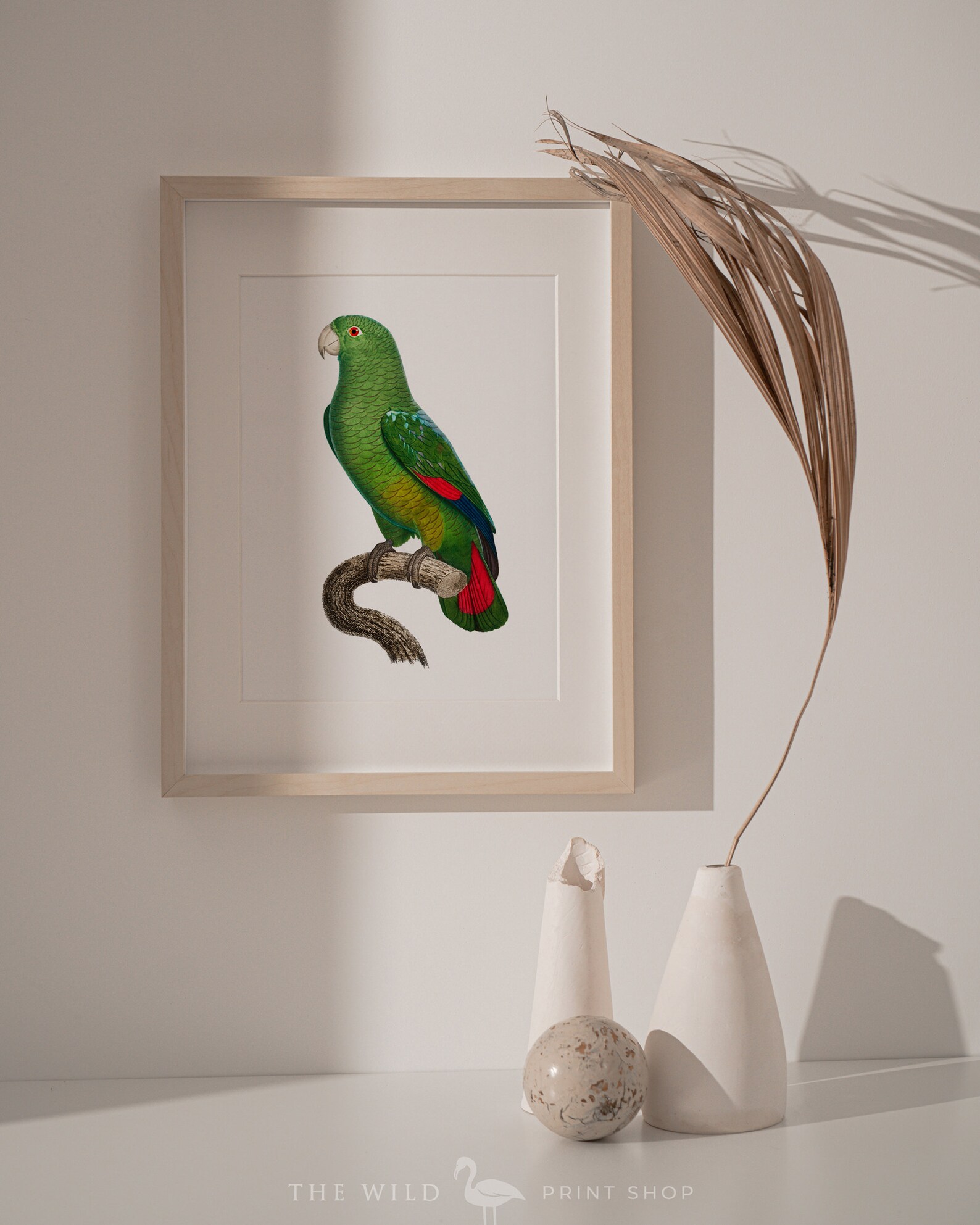 Vintage Parrot Print Amazon Parrot Print Parrot Print | Etsy