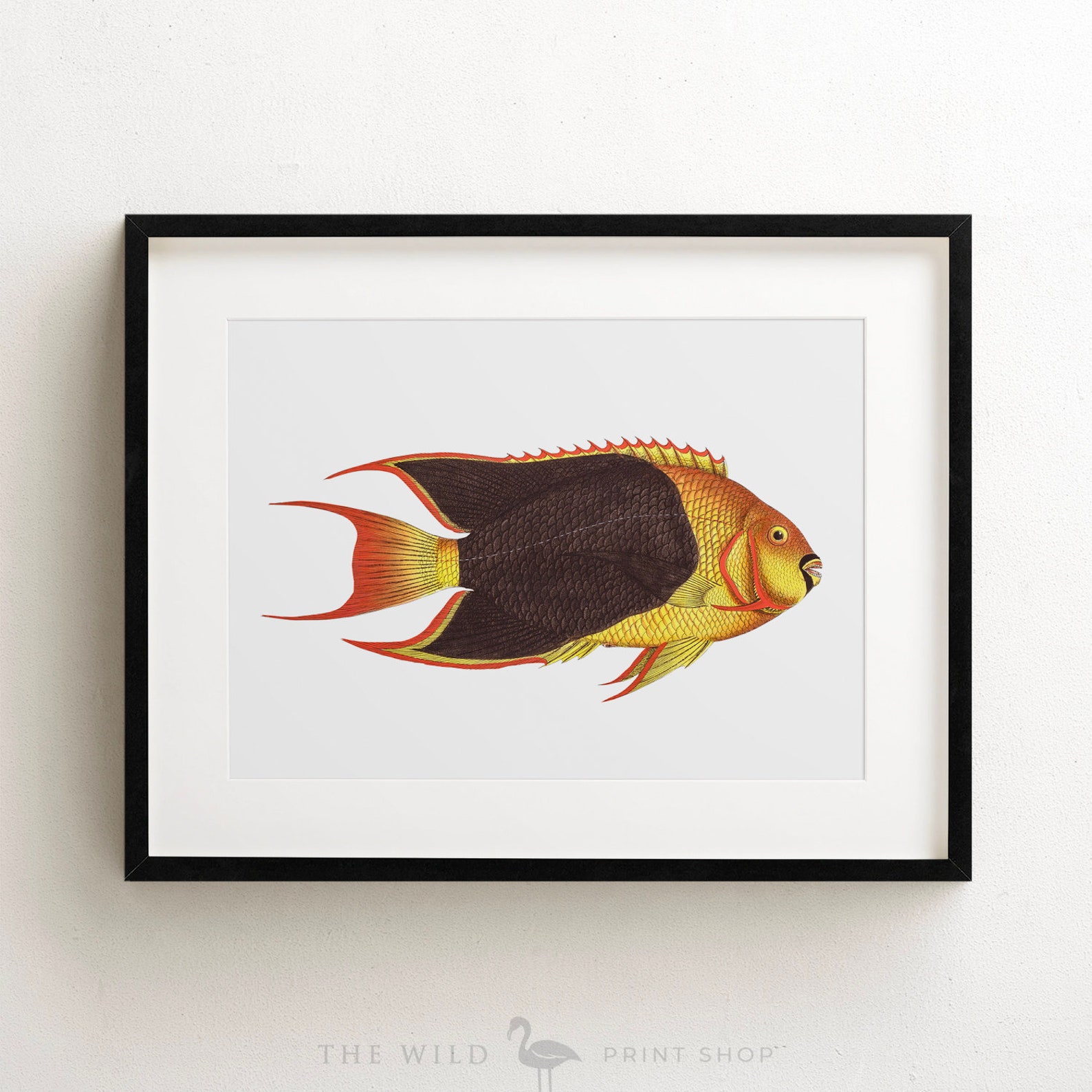 Vintage Fish Print Tropical Fish Print Fish Wall Art | Etsy