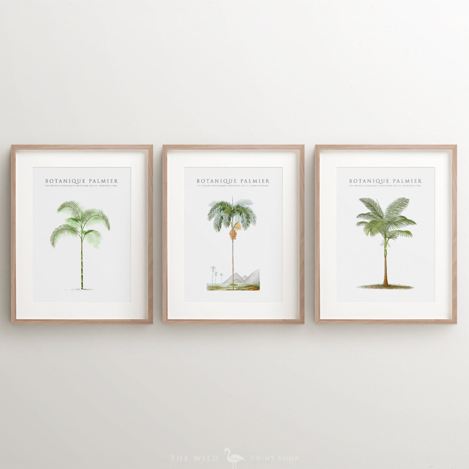 Palm Tree Print Set Botanical Print Set Tropical Palm Print - Etsy
