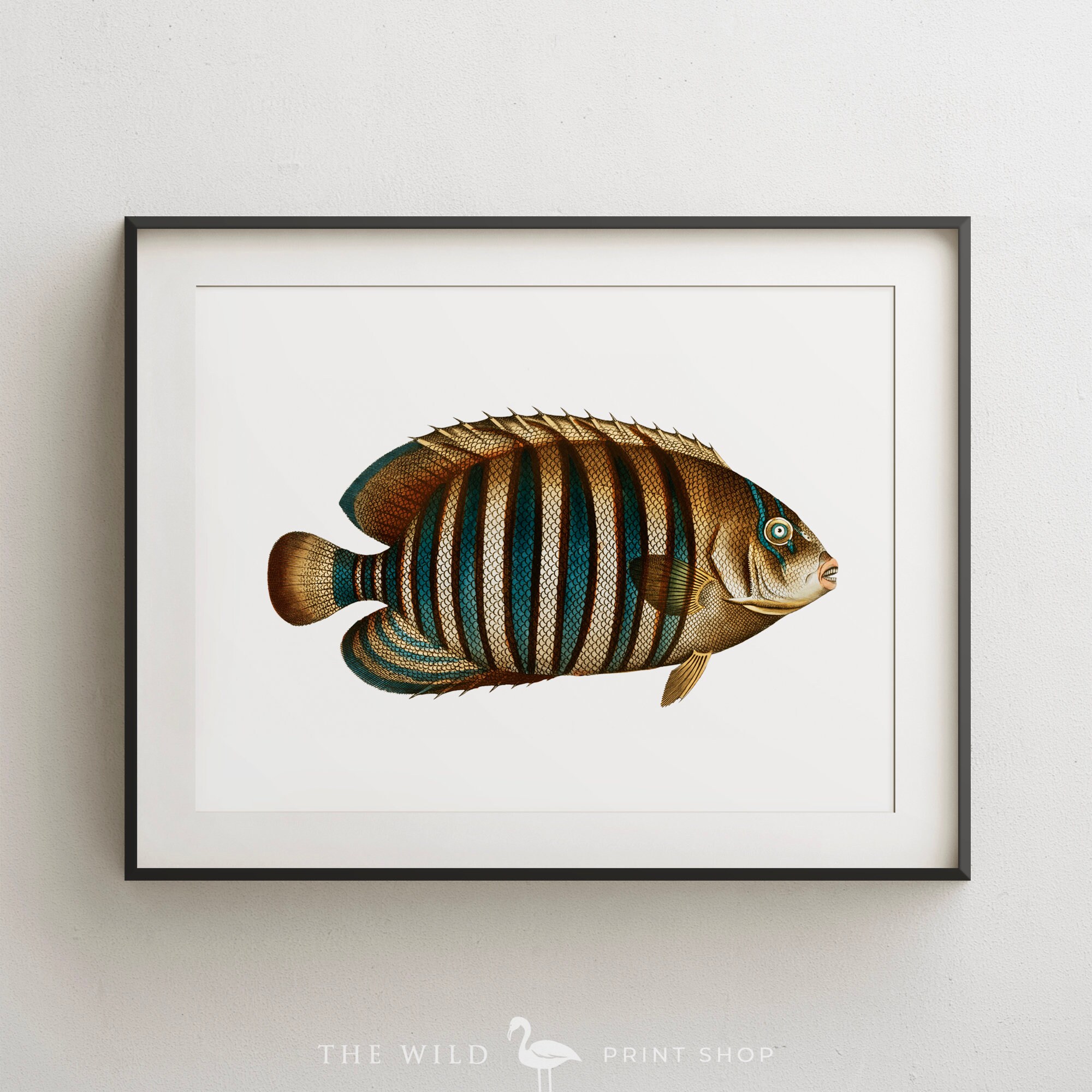 Vintage Fish Print Tropical Fish Print Fish Wall Art | Etsy