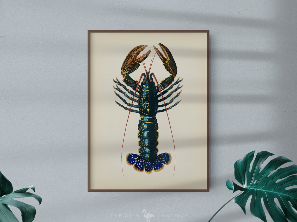 Lobster Print Vintage Lobster Print Lobster Wall Art | Etsy