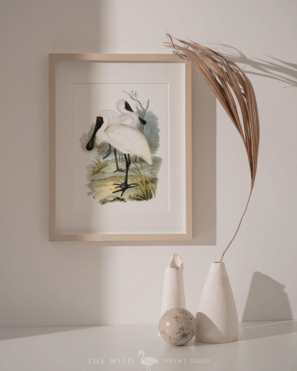 Vintage Bird Print Spoonbill Print Coastal Bird Print Bird | Etsy