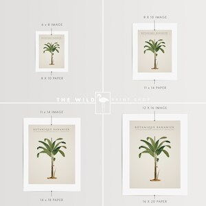 Banana Tree Print, Banana Tree Art Print, Vintage Botanical Print ...