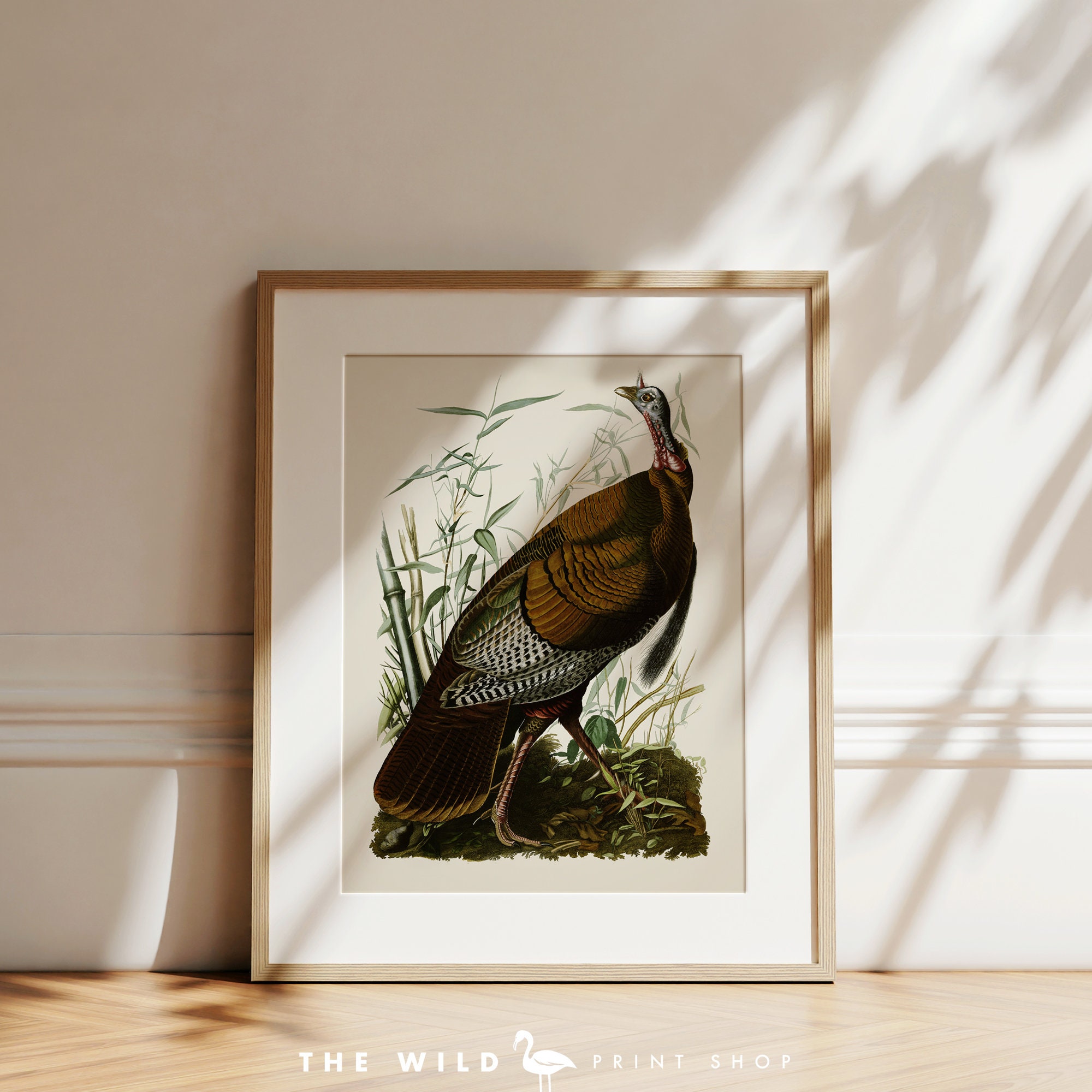 Thanksgiving Wall Decor - Vintage Bird Print, Wild Turkey Print, Bird ...