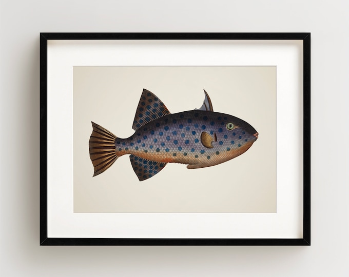 Vintage Fish Print, Tropical Fish Print, Fish Wall Art, Nautical Print ...
