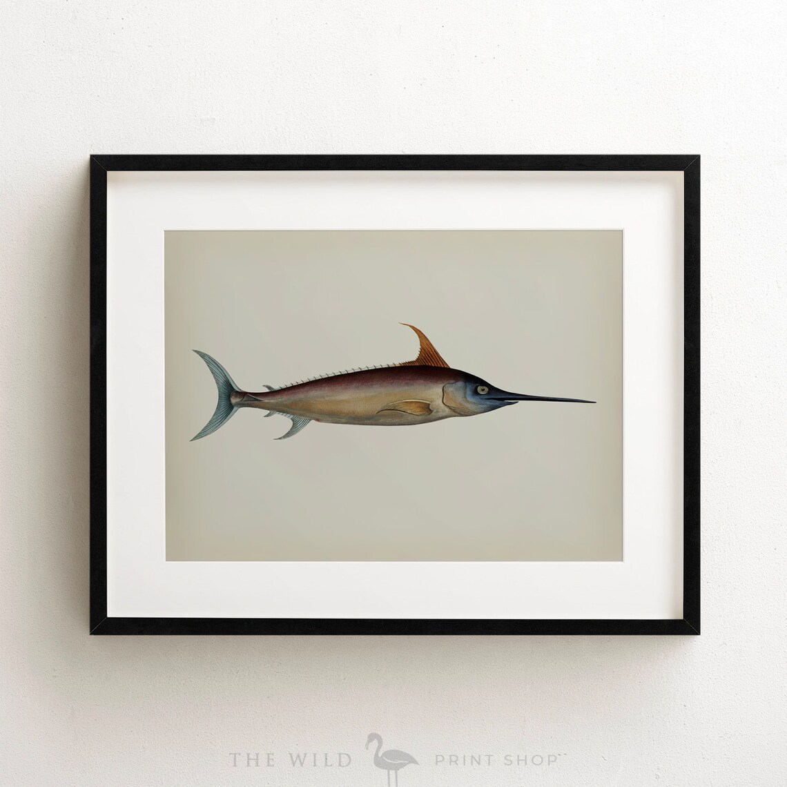 Vintage Fish Print Tropical Fish Print Fish Wall Art | Etsy