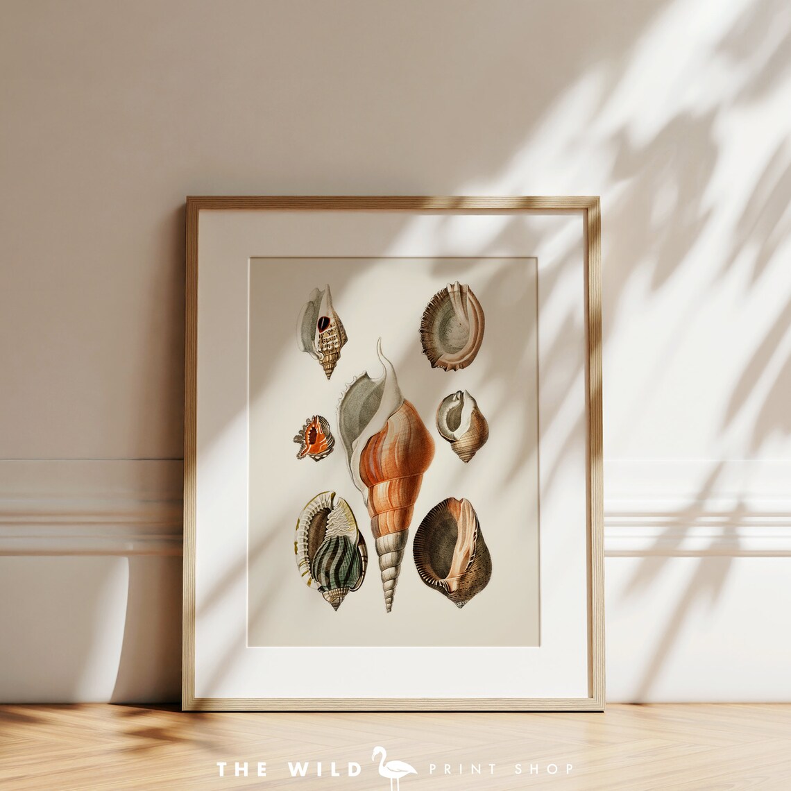 Seashell Print, Vintage Seashell Print, Seashell Wall Art, Nautical ...
