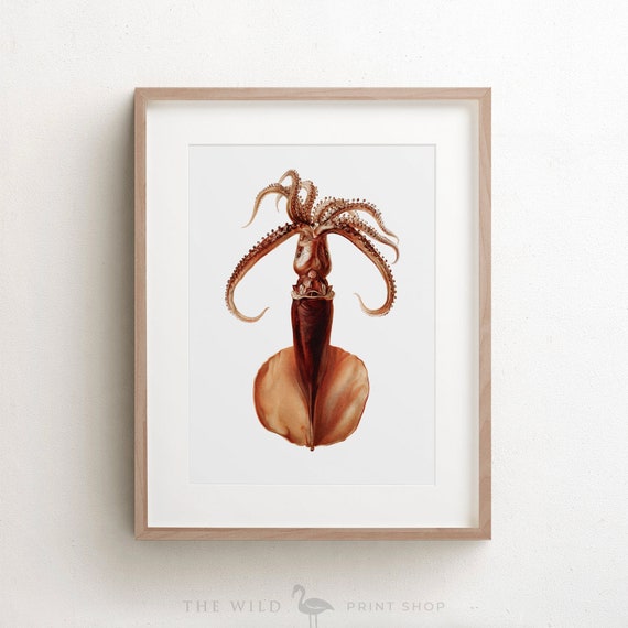 Squid Print Vintage Squid Print Squid Wall Art Nautical | Etsy