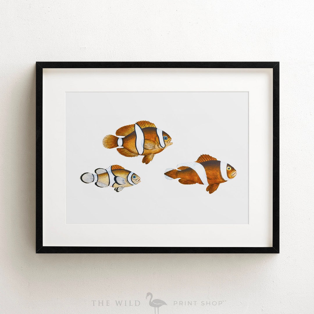 Vintage Fish Print, Tropical Fish Print, Fish Wall Art, Nautical Print ...