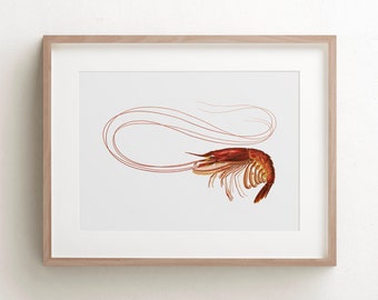 Shrimp Print | Etsy