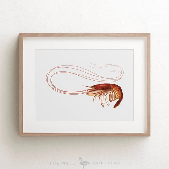 Shrimp Print Vintage Shrimp Print Shrimp Wall Art Nautical | Etsy
