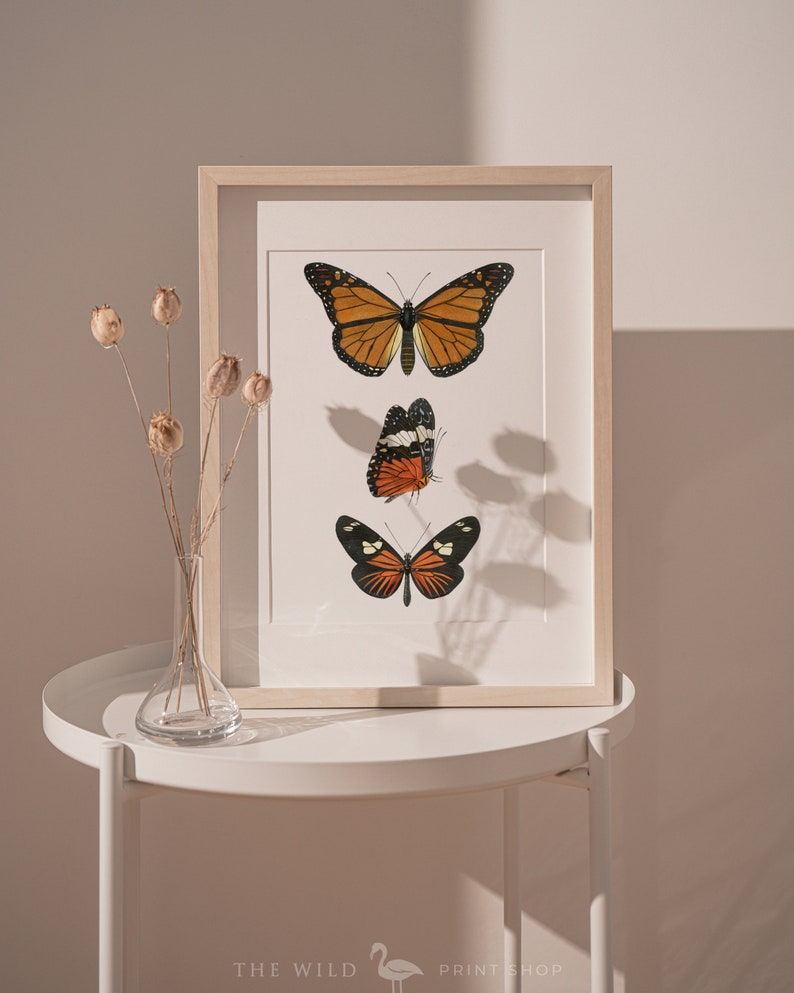 Vintage Butterfly Print Butterfly Art Print Butterfly Wall | Etsy