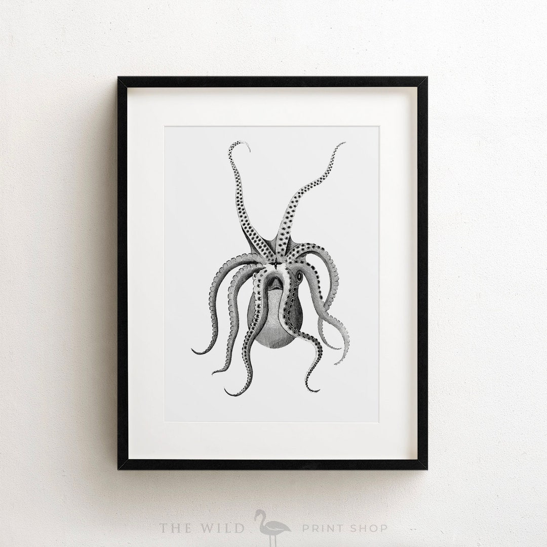 Octopus Print, Vintage Octopus Print, Octopus Wall Art, Nautical Print ...