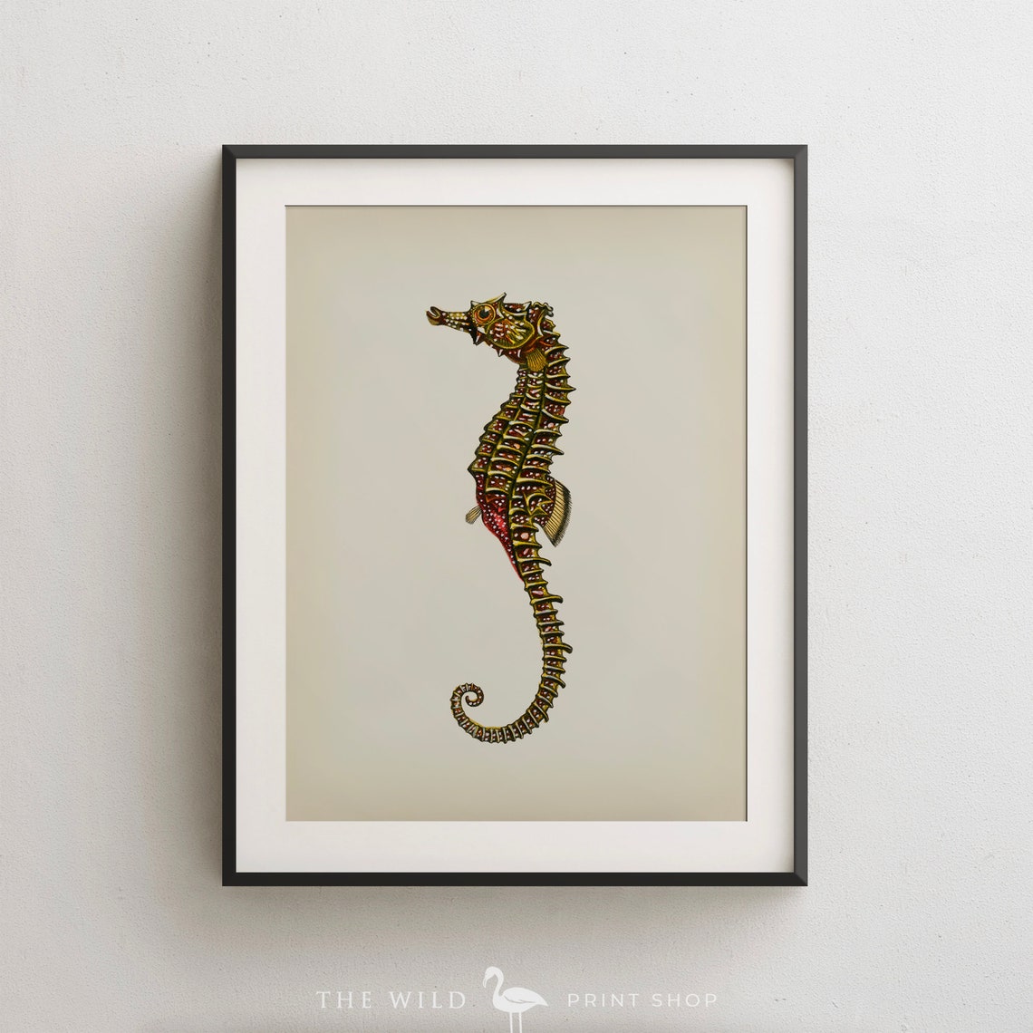 Seahorse Print Tropical Fish Print Fish Wall Art Nautical | Etsy