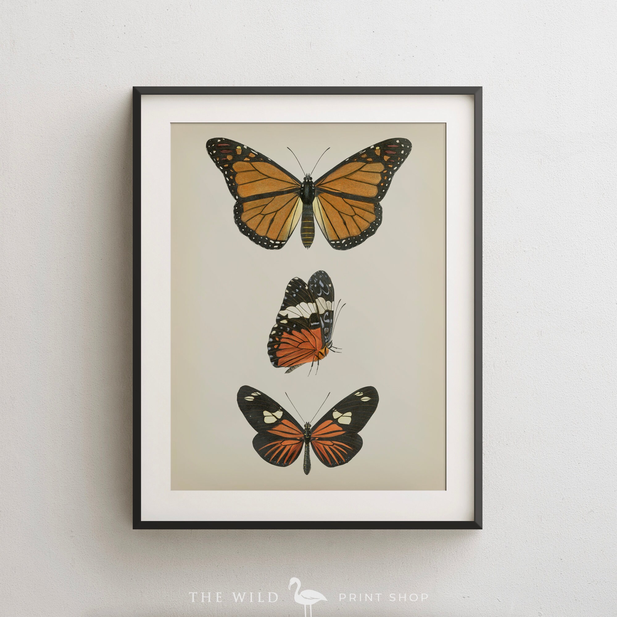 Vintage Butterfly Print Butterfly Art Print Butterfly Wall | Etsy