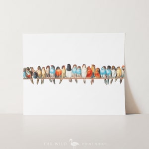 Vintage Bird Print, A Perch of Birds, Colorful Bird Print, Bird Wall ...