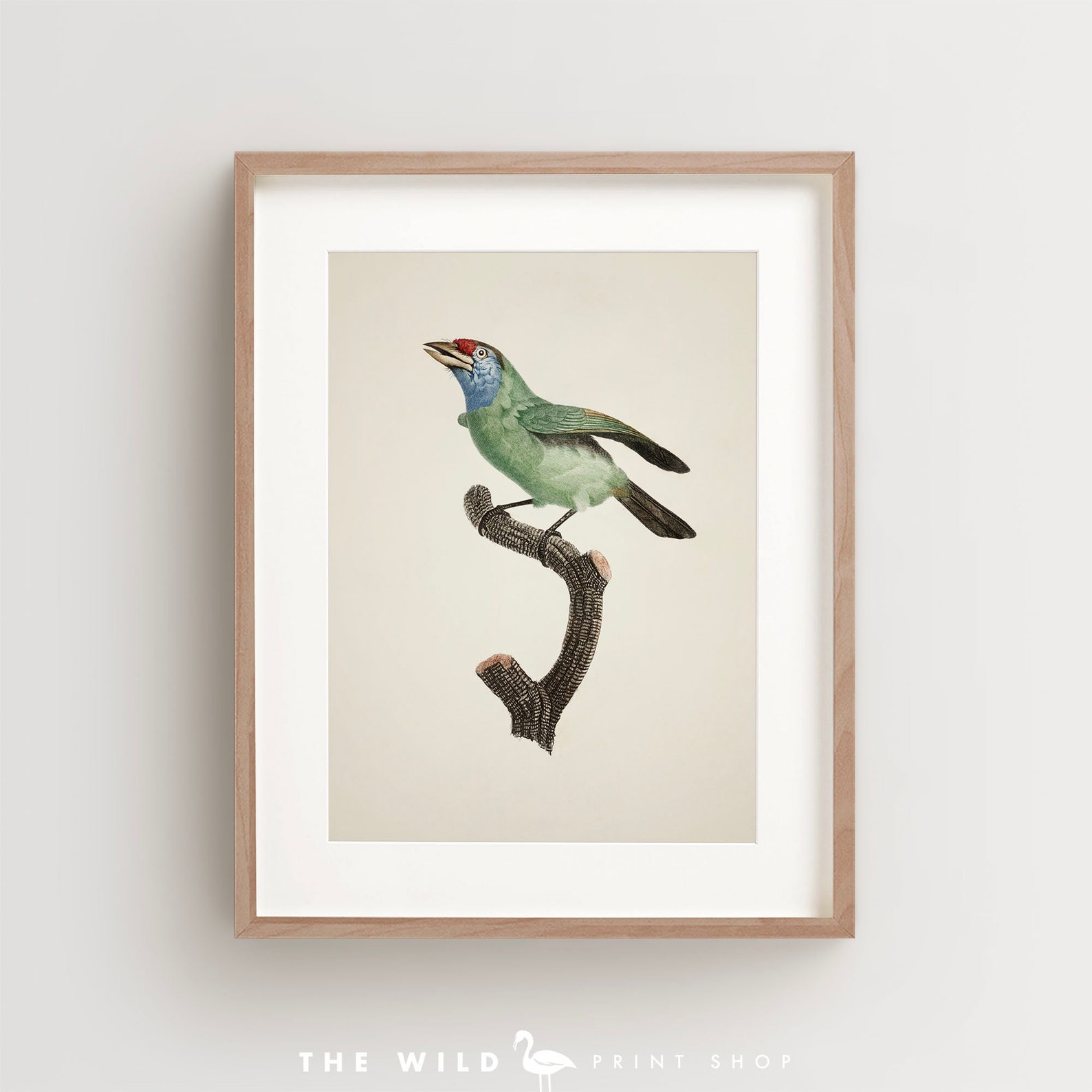 Vintage Bird Print, Bee Eater Print, Tropical Bird Print, Bird Wall Art ...