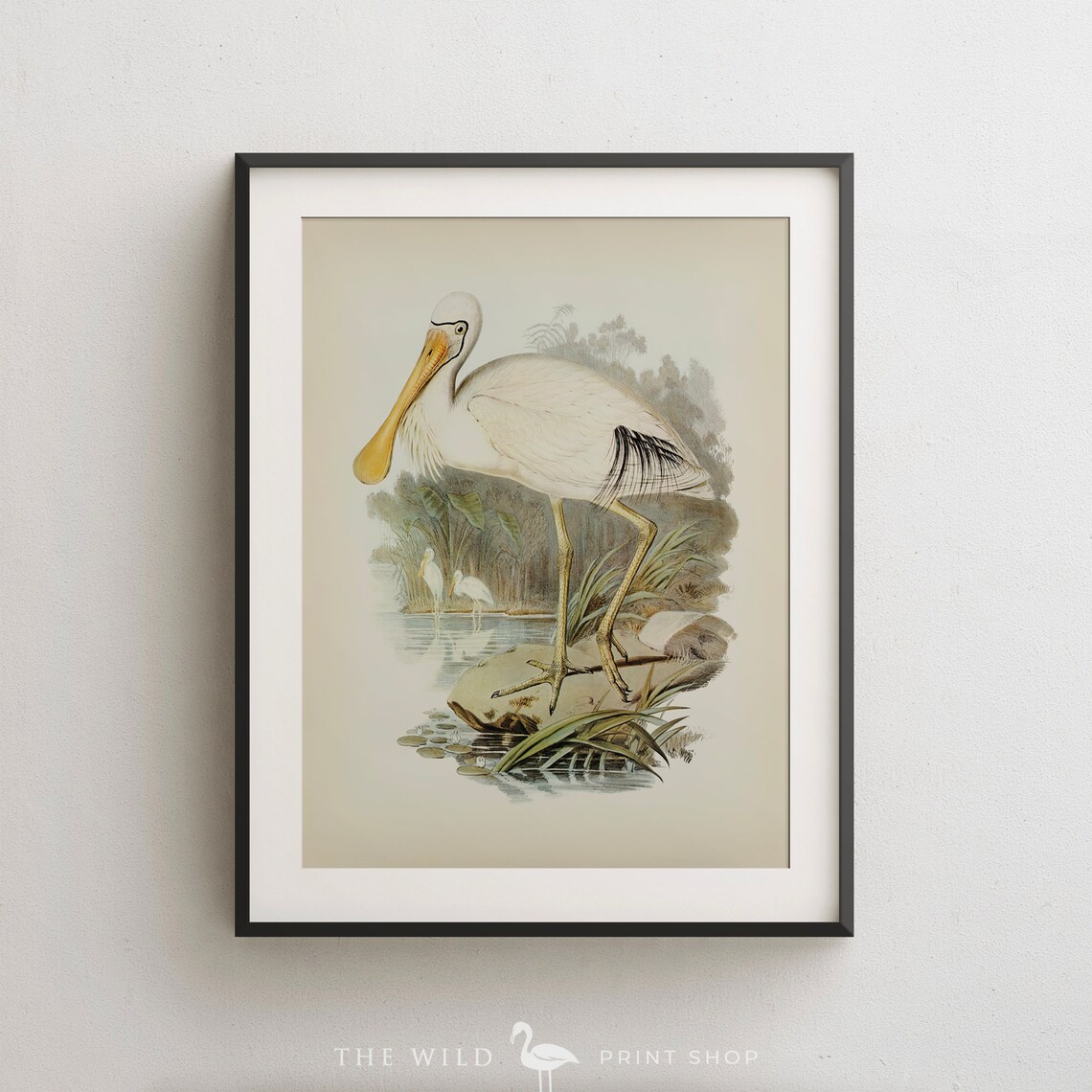 Vintage Bird Print Spoonbill Print Coastal Bird Print Bird | Etsy