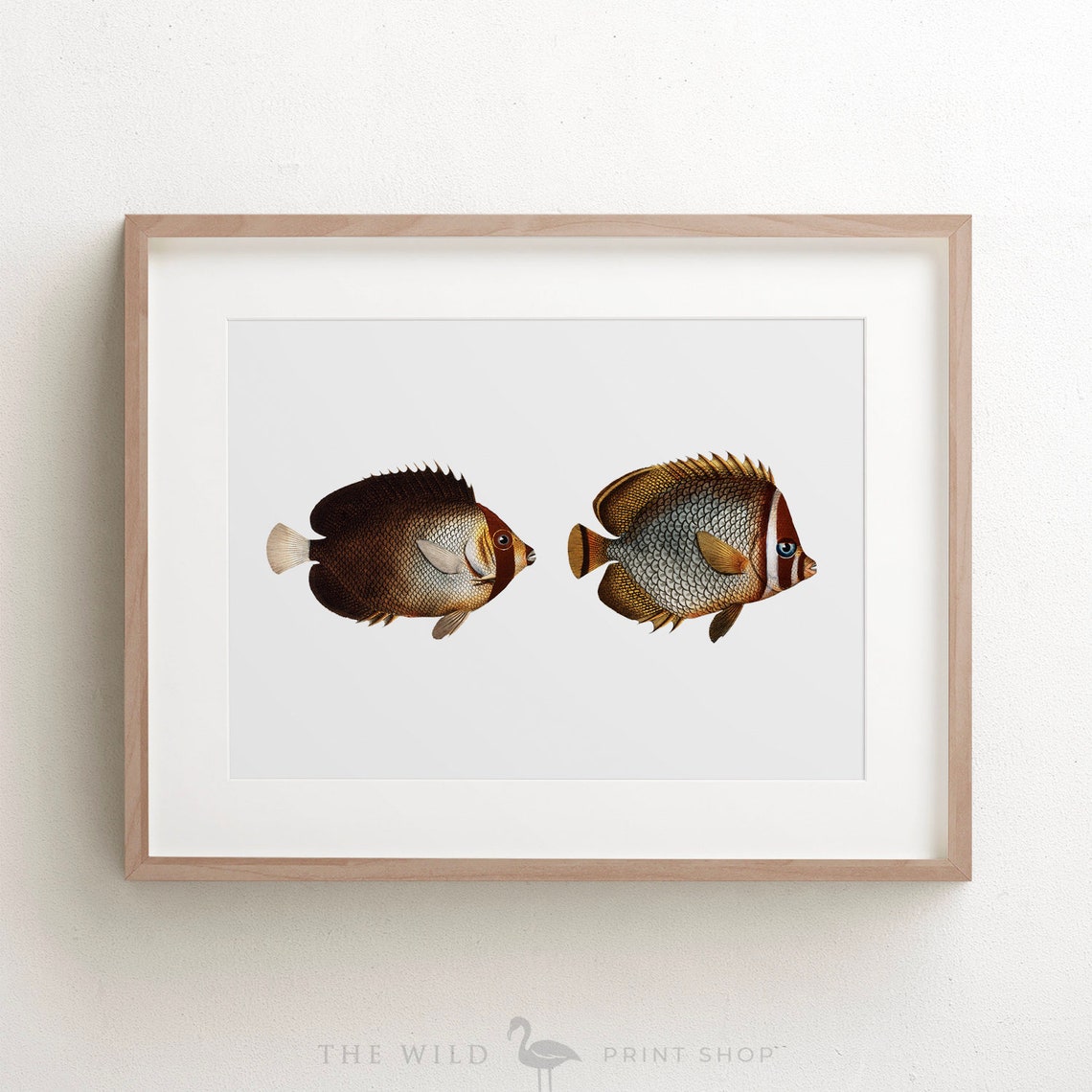 Vintage Fish Print Tropical Fish Print Fish Wall Art - Etsy