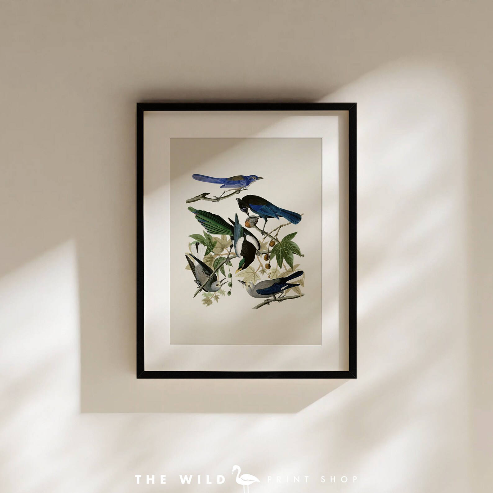 Vintage Bird Print, Yellow Billed Magpie Print, Bird Wall Art, Audubon ...