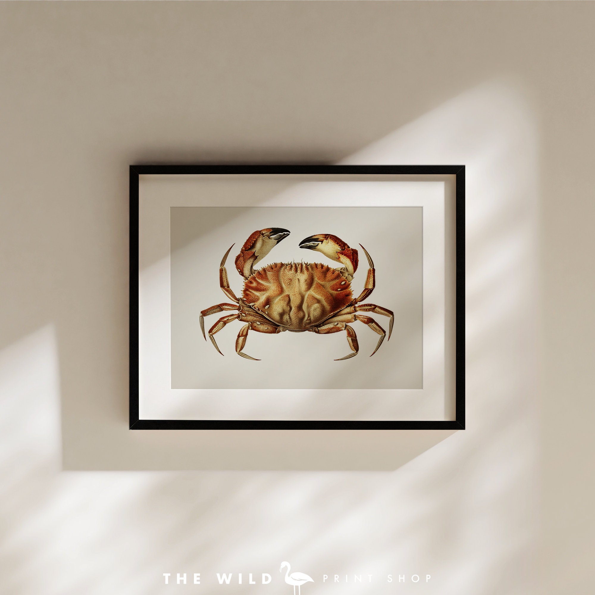 Crab Print, Vintage Crab Print, Crab Wall Art, Nautical Print ...
