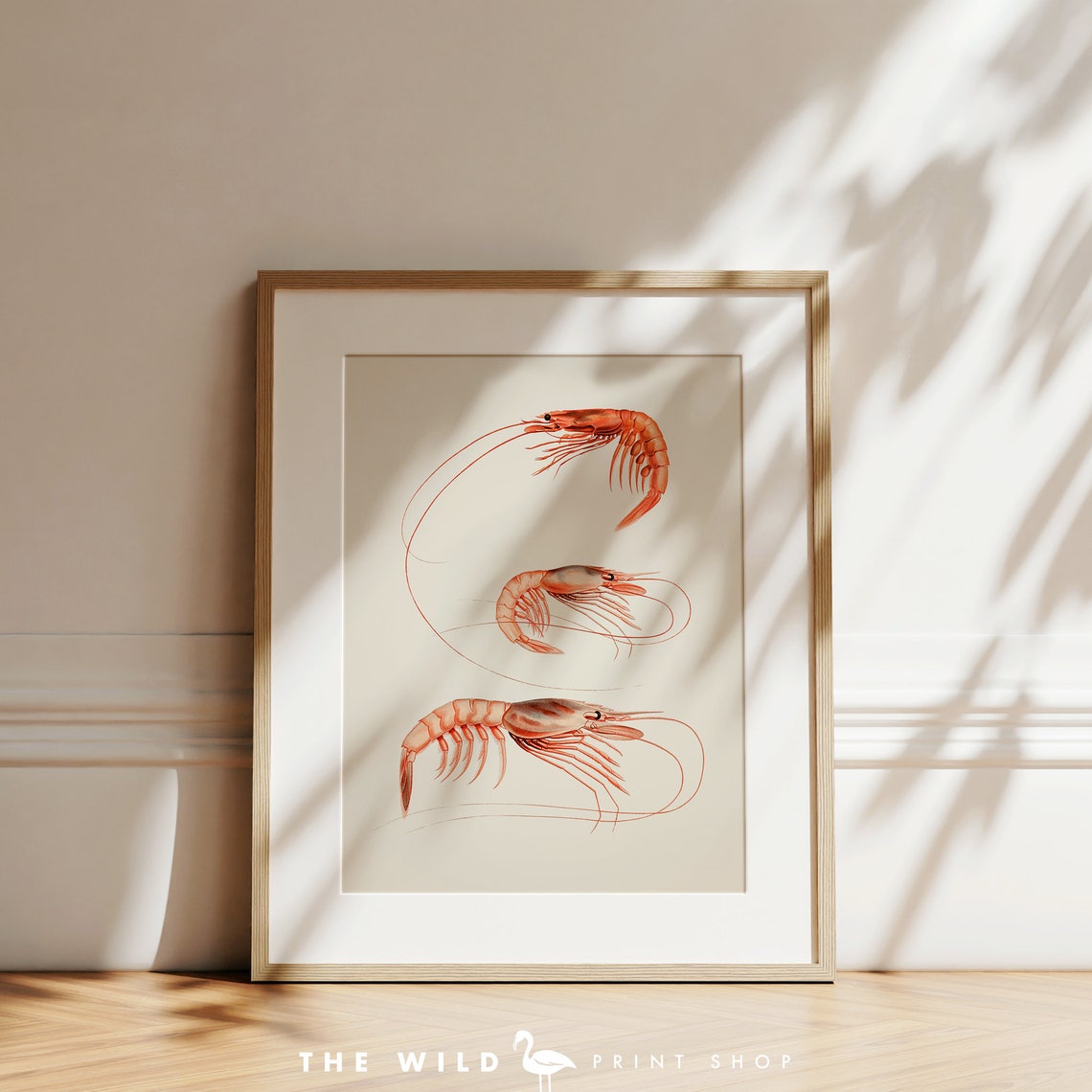 Shrimp Print, Vintage Shrimp Print, Shrimp Wall Art, Nautical Print ...