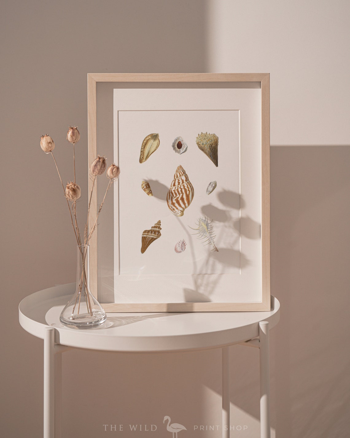 Seashell Print Vintage Seashell Print Seashell Wall Art | Etsy