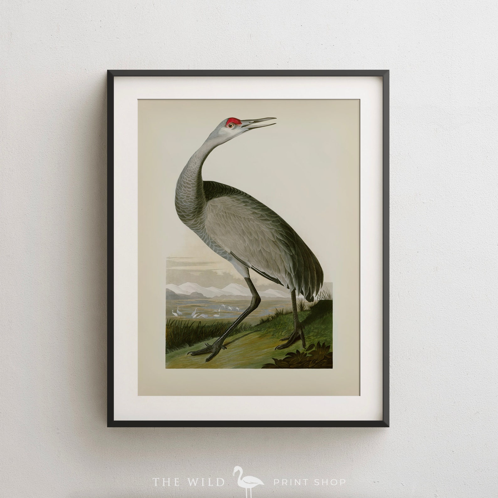 Vintage Bird Print Hooping Crane Print Bird Wall Art | Etsy