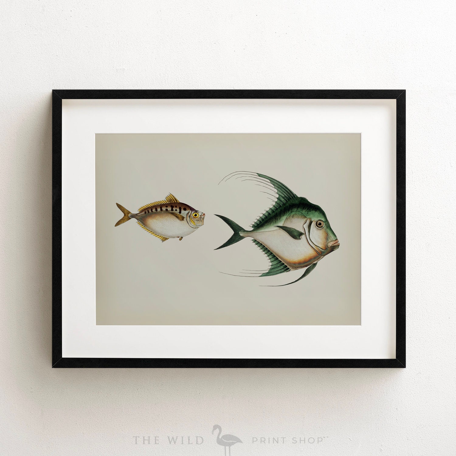 Vintage Fish Print Tropical Fish Print Fish Wall Art | Etsy