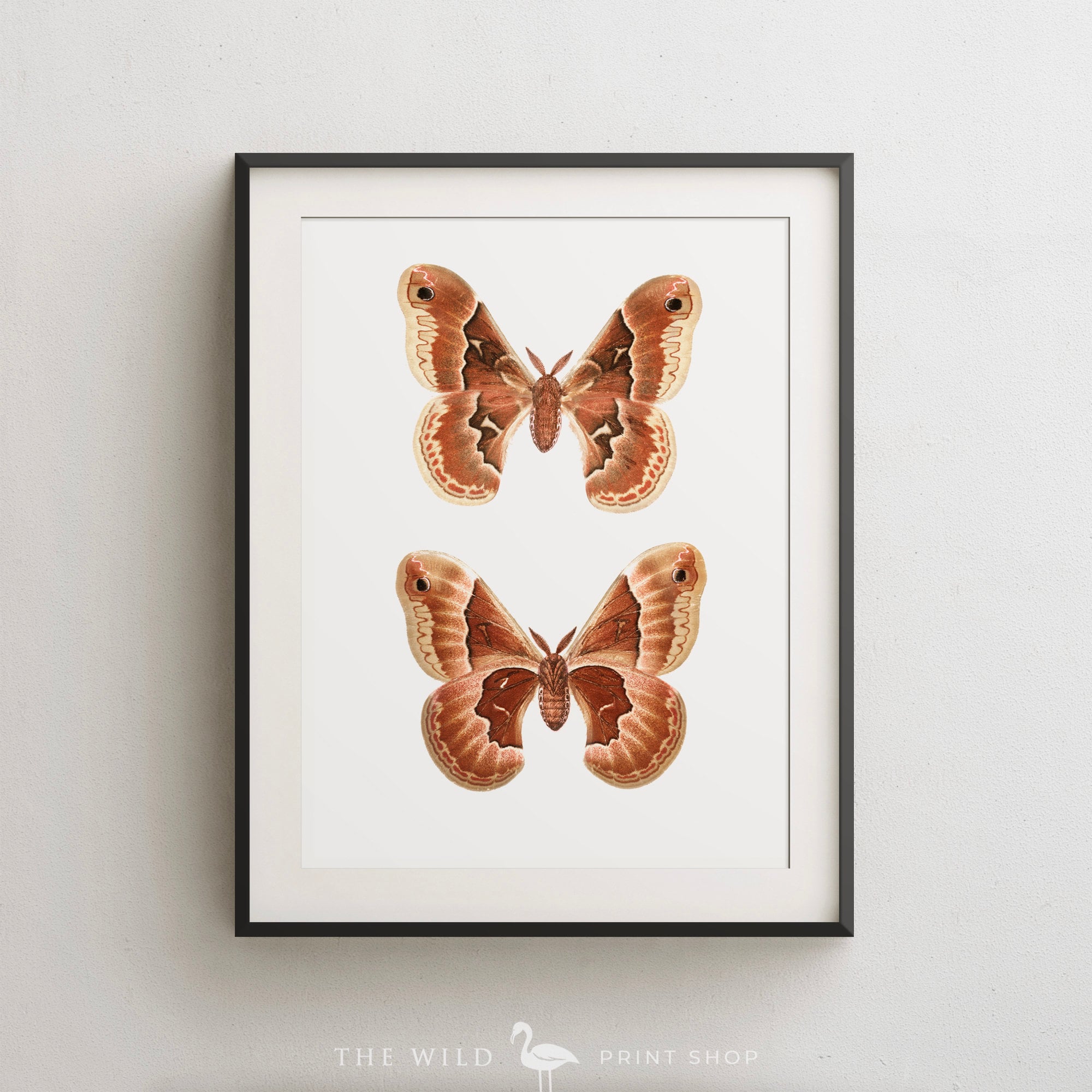 Vintage Butterfly Print Butterfly Art Print Butterfly Wall | Etsy