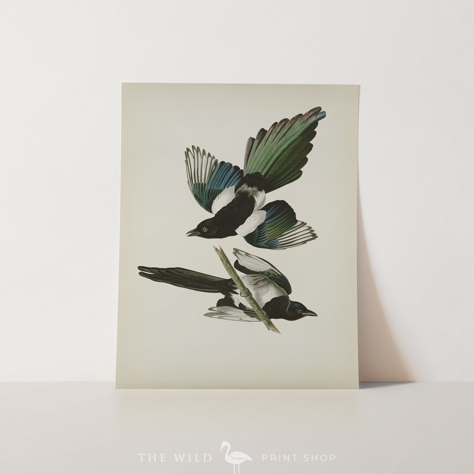 Vintage Bird Print American Magpie Print Bird Wall Art | Etsy