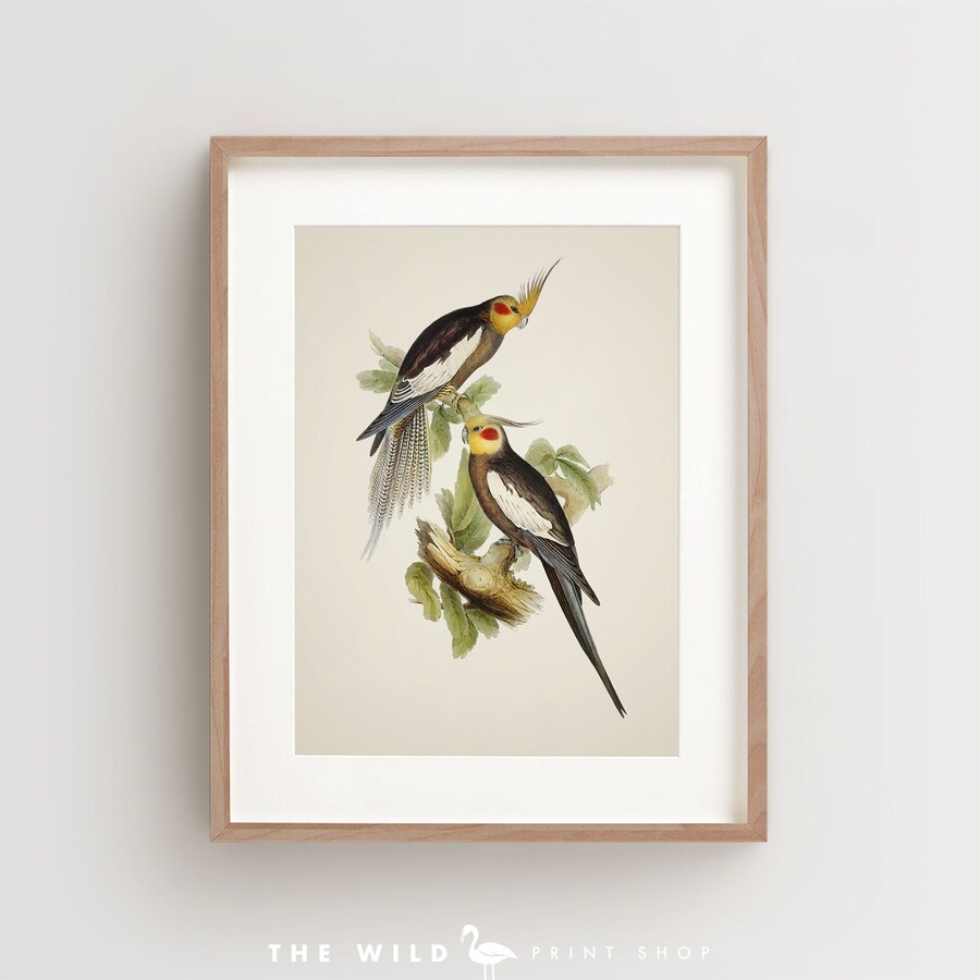 TheWildPrintShop - Etsy