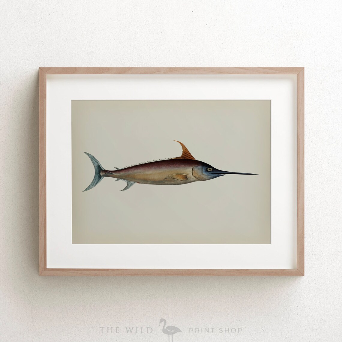 Vintage Fish Print Tropical Fish Print Fish Wall Art | Etsy