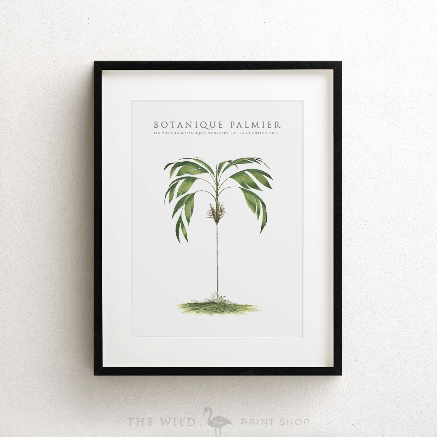 Palm Tree Print Tropical Palm Print Palm Tree Art Print | Etsy