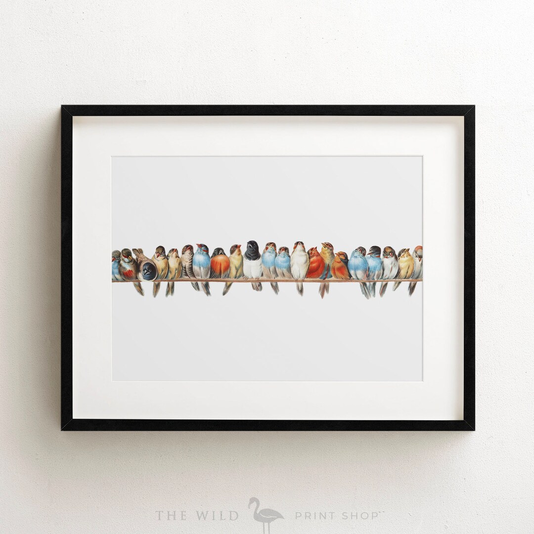 Vintage Bird Print, A Perch of Birds, Colorful Bird Print, Bird Wall ...