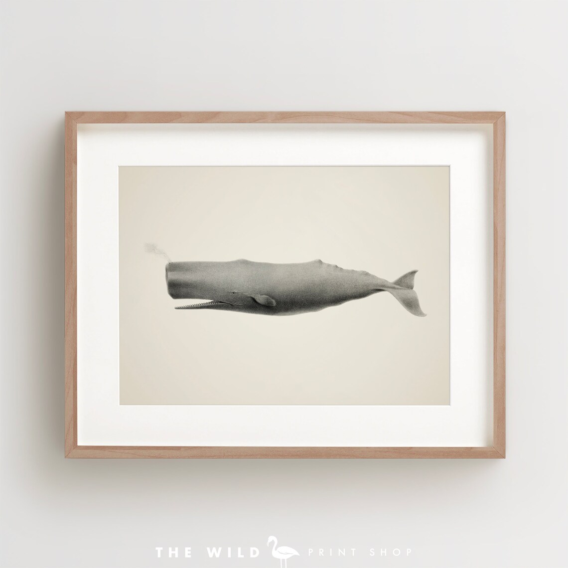 Whale Print, Vintage Whale Print, Whale Wall Art, Nautical Print ...