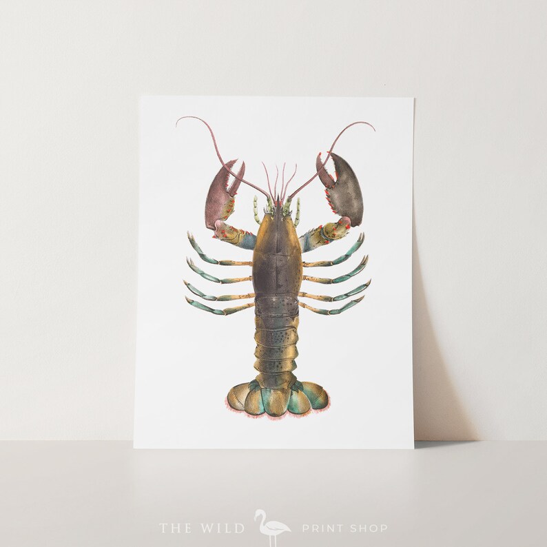 Lobster Print Vintage Lobster Print Lobster Wall Art - Etsy