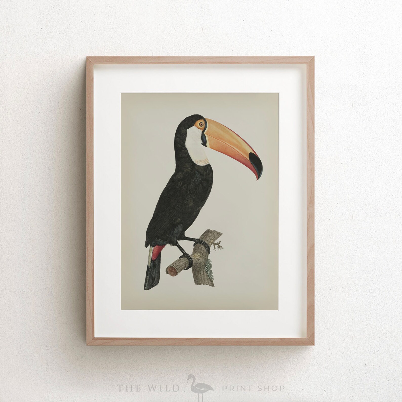 Toucan Print Vintage Bird Print Tropical Bird Print Bird | Etsy