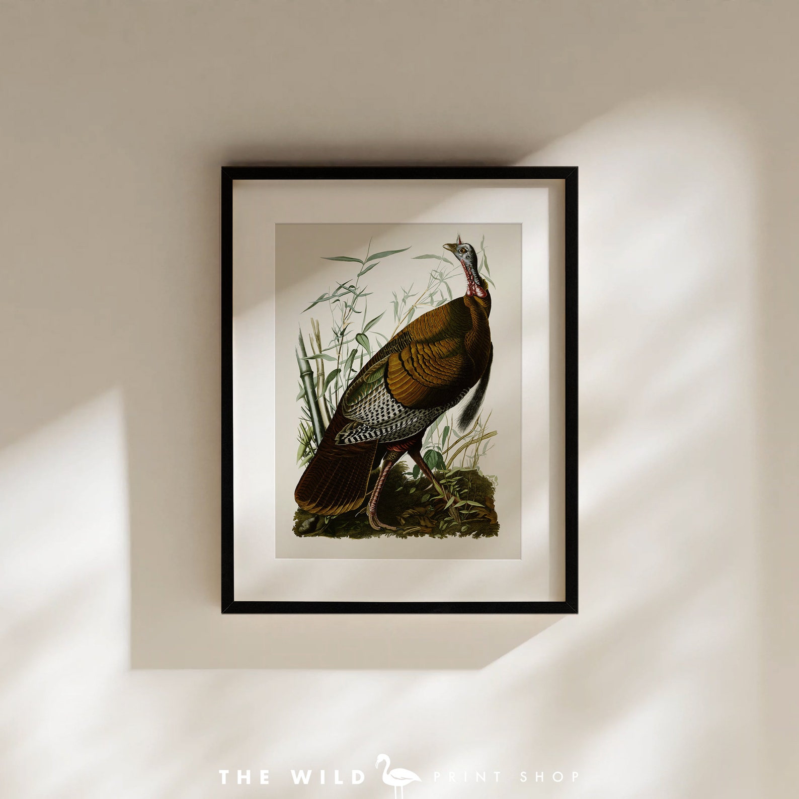 Thanksgiving Wall Decor - Vintage Bird Print, Wild Turkey Print, Bird ...
